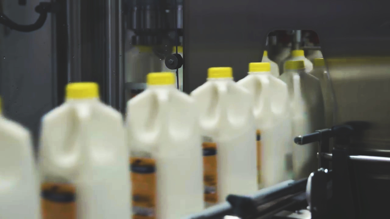 Stacking milk crates on pallets in the cold storage warehouse | KUKA China